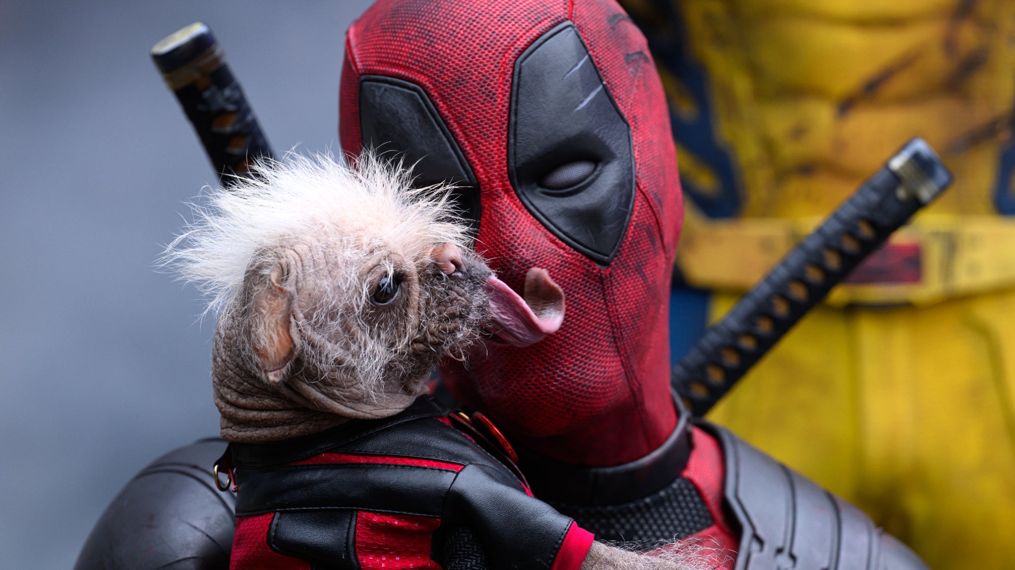 Mauvaise nouvelle pour les fans de Deadpool | SFR ACTUS